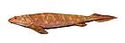 Panderichthys Wikipedia