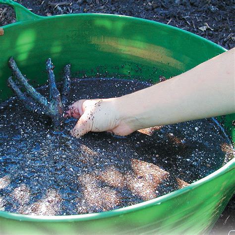 Growing From Bulbs And Roots Veseys