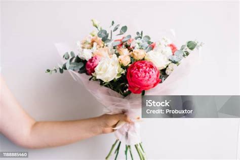 아주 좋은 젊은 여자의 손 신선한 모란 장미 마티올라 유칼립투스 회색 벽 배경에 흰색과 선명한 붉은 색의 유스토마 꽃의 아름다운