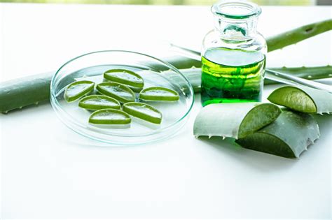 액체 유리 병 자연 유기 추출 물 실험실 테스트에서 향기로운 필수 연구 옆에 넣어 슬라이스 알로에 베라 접시 Dna에 대한 스톡 사진 및 기타 이미지 Istock