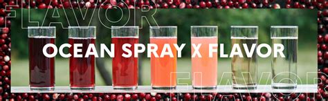 Amazon Com Ocean Spray Cran Pineapple Cranberry Pineapple Juice Drink Fl Oz Bottle Pack