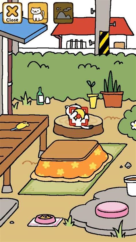 Game Guide Neko Atsume Neko Amino