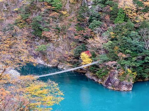 夢のつり橋遊ぶ体験川根本町観光協会