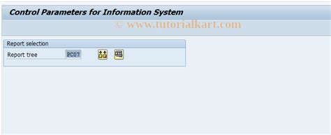 CKMK SAP Tcode Control Of Information System ML