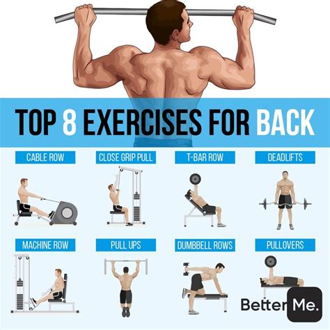 Best Pulling Exercises To Hit All Of Your Back Muscles Workout Back