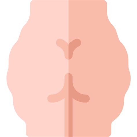 Cellulitis Basic Rounded Flat Icon