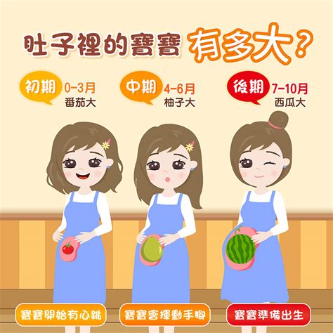 懷孕懶人包整理！各階段症狀產檢飲食大公開，孕婦有這篇就夠