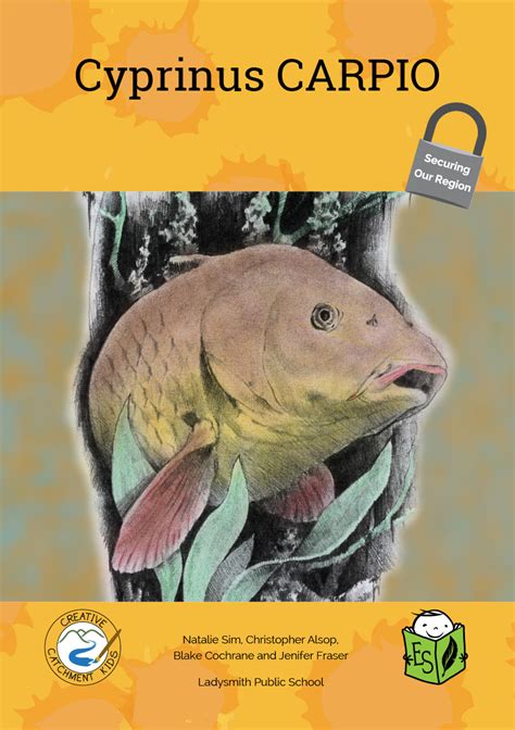 Cyprinus Carpio Enviro Stories