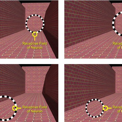 Examples Of Optical Illusions The Ebbinghaus Illusion A Is An