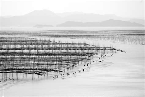 黄卓作品 图集 影像中国网 中国摄影家协会主办