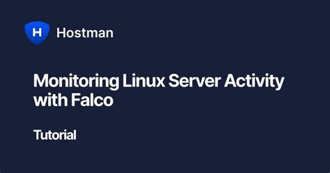 Linux Devops Cybersecurity Servermonitoring Falco Cloudcomputing Hostman