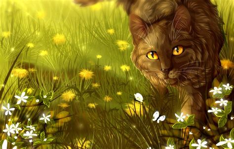 Cat Warriors Wallpapers Wallpaper Cave