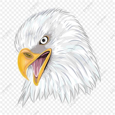 원주민 예술 독수리