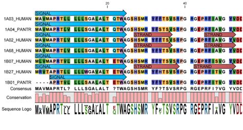 Qiagen Bioinformatics Manuals