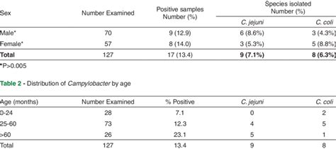 Distribution Of Campylobacter By Sex Download Table