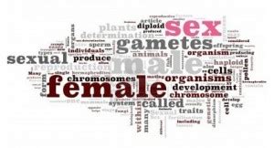 Sex In The Cloud An Interview With Sex Blogger Professor Stef Woods X
