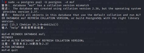 Msf连接postgresql时因排序规则版本不匹配导致无法连接 哔哩哔哩 Msf连接postgresql时因排序规则版本不匹配导致无法连接 哔哩哔哩
