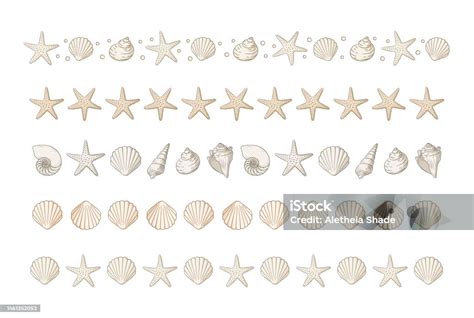 조개 테두리 구분선 세트 바다와 바다 디자인 서식 파일입니다 벡터 일러스트 레이 션 여름 또는 해변 파티 광고 디자인 조개 껍데기에 대한 스톡 벡터 아트 및 기타 이미지