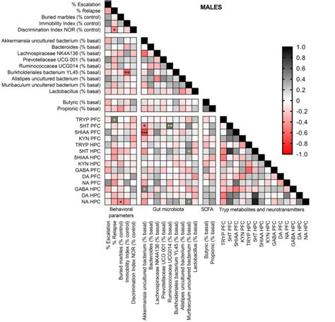 Sex Specific Effects Of Synbiotic Exposure In Mice On Addictive Like Behavioral Alterations