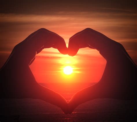 Free Photo Hand Silhouette In Heart Shape With Sunset In The Middle