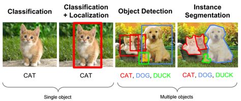 Object Detection Using Neural Networks Deep Learning Diatoz