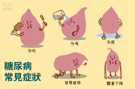 糖尿病有4種？誰是高風險族群？這篇超簡單圖解帶你從頭了解糖尿病的發生與控制！ 風傳媒