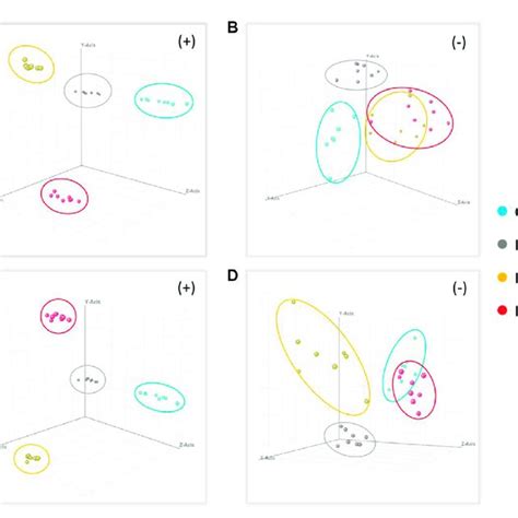 Pca And Pls Da Analysis A Pca Analysis In Positive Mode B Pca