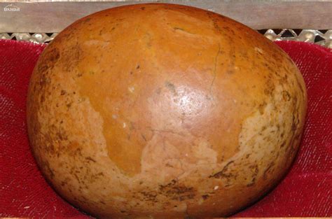 დავით გარეჯი ჩვენი იერუსალიმი დაიცავი ზნეობა