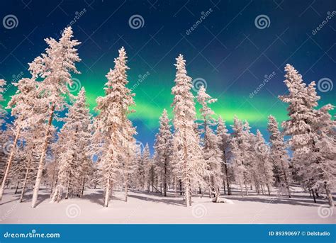 Northern Lights Aurora Borealis In Lapland Finland Stock Image Image
