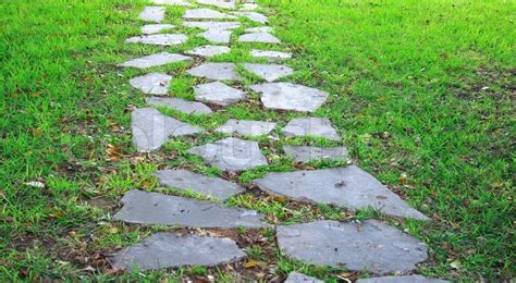 Garden Stone Path With Grass Growing Up Between The Stones Stock Photo Colourbox