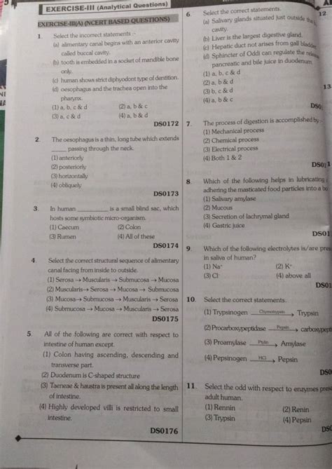 EXERCISE III Analytical Questions EXERCISE III A NCERT BASED QUESTION