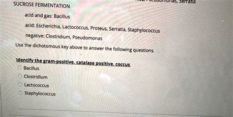 Sucrose Fermentation Acid And Gas Bacillus Acid Escherichia Lactococcus Proteus Serratia