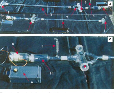 Figure 1 From Evidence For A Female Produced Sex Pheromone In The