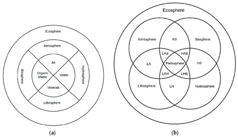 The Scope Of A Soil And Relationship Between Soil Components From