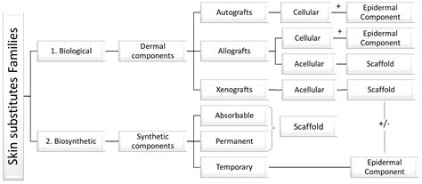Skin Substitutes Filling The Gap In The Reconstructive Algorithm
