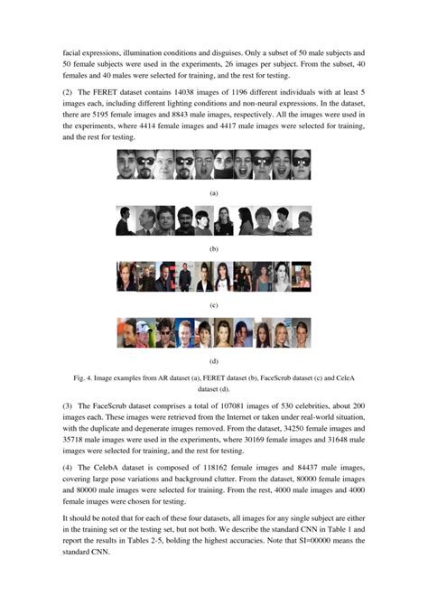 A Concatenating Framework Of Shortcut Convolutional Neural Networks