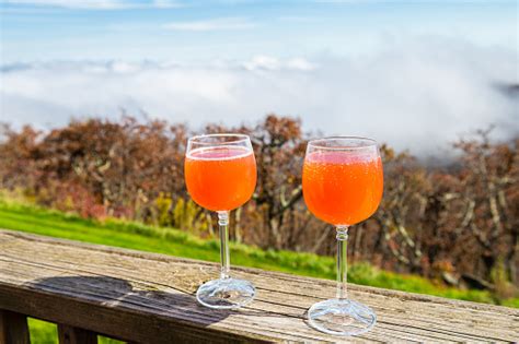 이탈리아 음료 병 탄산 블러드 오렌지 자몽 소다 두 잔 버지니아 윈터그린 리조트의 블루 리지 마운틴 감귤류 과일에 대한 스톡 사진 및 기타 이미지 Istock