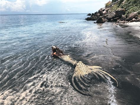 Mermaid Legends Unraveling The Mysteries And Realities Bulb