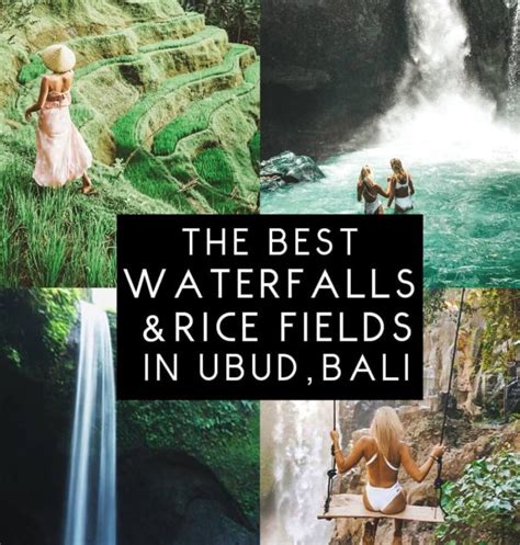 The Best Bali Day Trip Waterfalls And Rice Terraces In Ubud