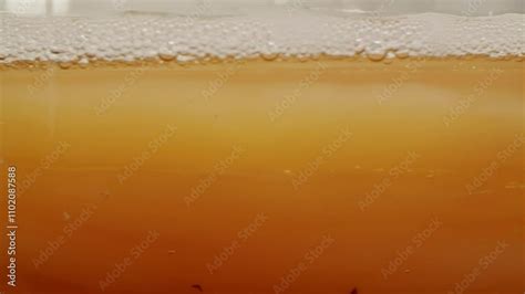 Kombucha Tea Scoby Fungus Homemade Kombucha Fermented Drink Bacteria And Yeast Fermentation