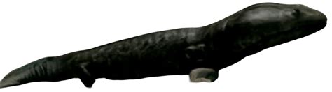 Koolasuchus By Kingofallkongs On Deviantart