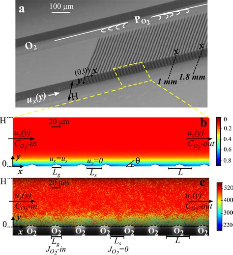 Dissolved Oxygen Colorimetric Method At Charles Amos Blog
