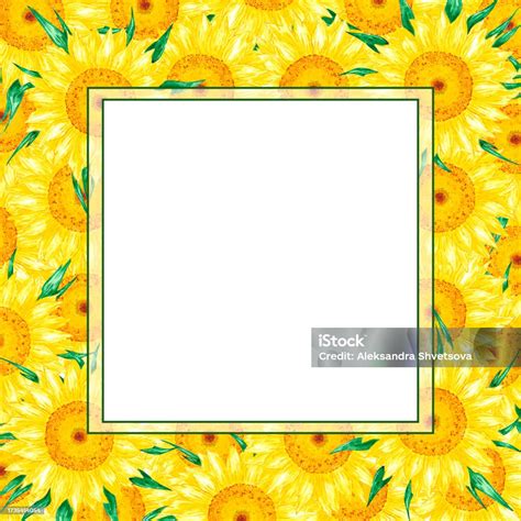 손으로 그린 수채화 노란색 해바라기 테두리 프레임은 흰색 배경에 분리되어 있습니다 초대장 엽서 포스터 장식 및 기타 인쇄물에 사용할 수 있습니다 0명에 대한 스톡 벡터 아트
