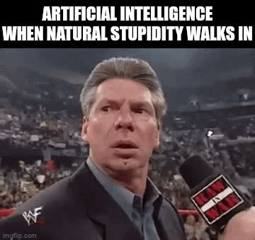 Natural Stupidity Imgflip