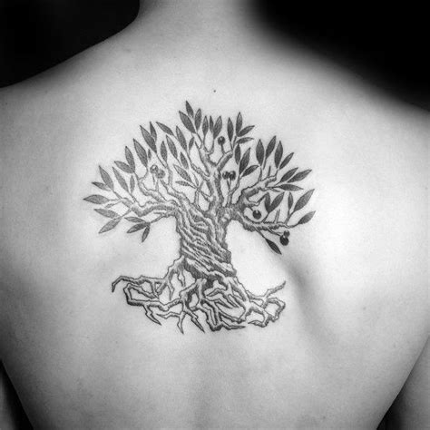 Olive Tree Tattoos Meaning Of Olive Branch Tattoo With 23 Must See Ink