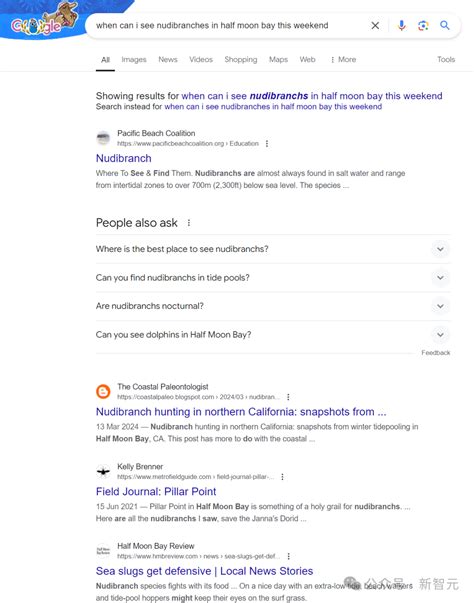 Openai大杀器searchgpt横空出世 青瓜传媒