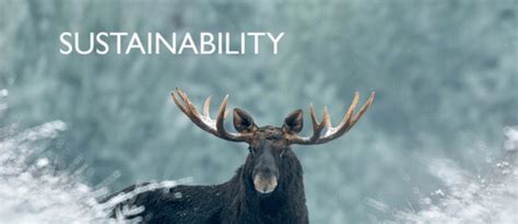 Highlights Assab Indonesia