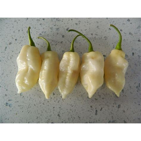 White Fatalii Chilli Seeds Fresh Fatalii Pepper Seeds Red Dragon Seeds