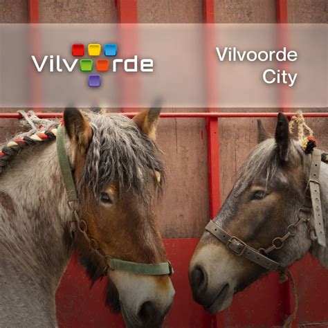 Devatwork Webdevelopment Softwaredesign Devatwork Devwork Bv Digital High End