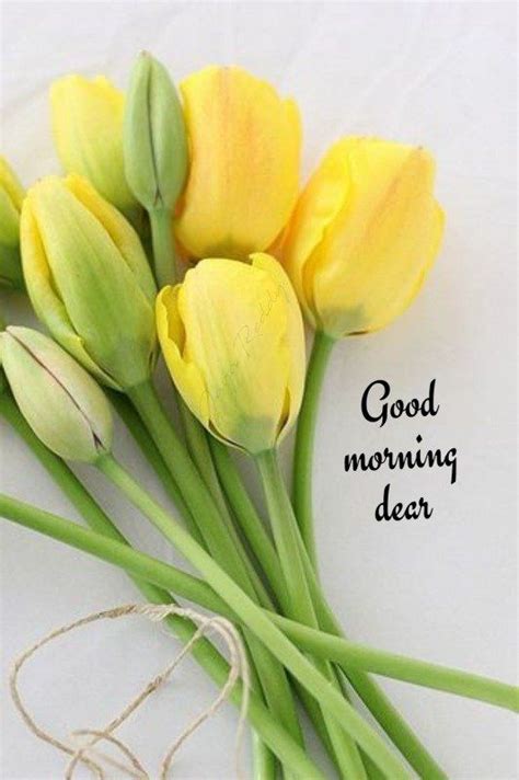 Good Morning Dear Yellow Tulips Quotes Floral Greeting Card